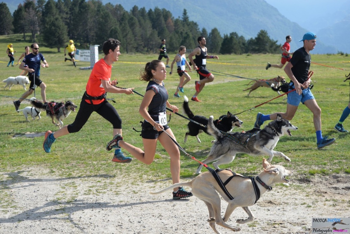 Canicross - Commission Nationale Éducation et Activités Cynophiles